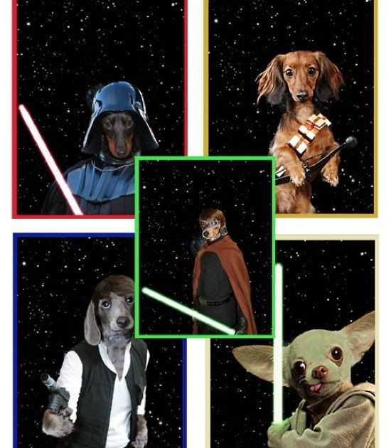 Dog Wars - Queen.gr