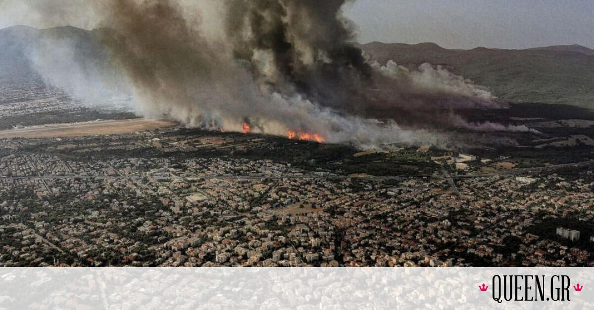 Ποιες είναι οι δραματικές συνέπειες των πυρκαγιών στο περιβάλλον - Queen.gr