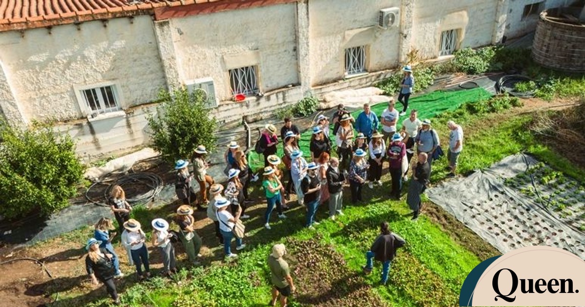 Για πρώτη φορά, η Φάρμα του Ομίλου «Δειπνοσοφιστήριον» υποδέχτηκε τους ...